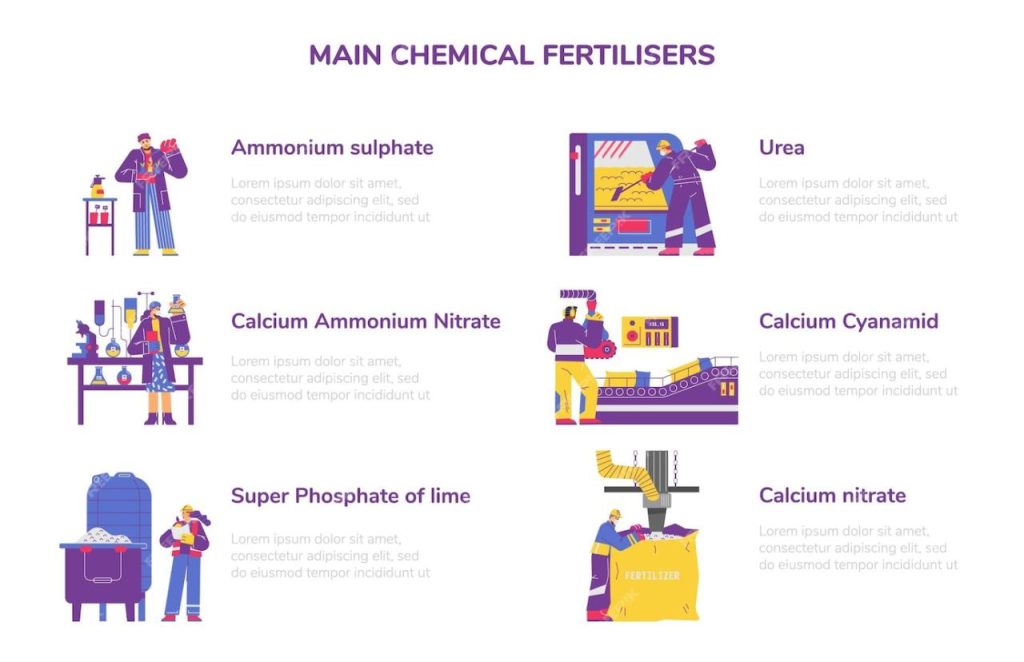 Impact of Chemical Fertilizers on Soil Health and Environment - Soil ...